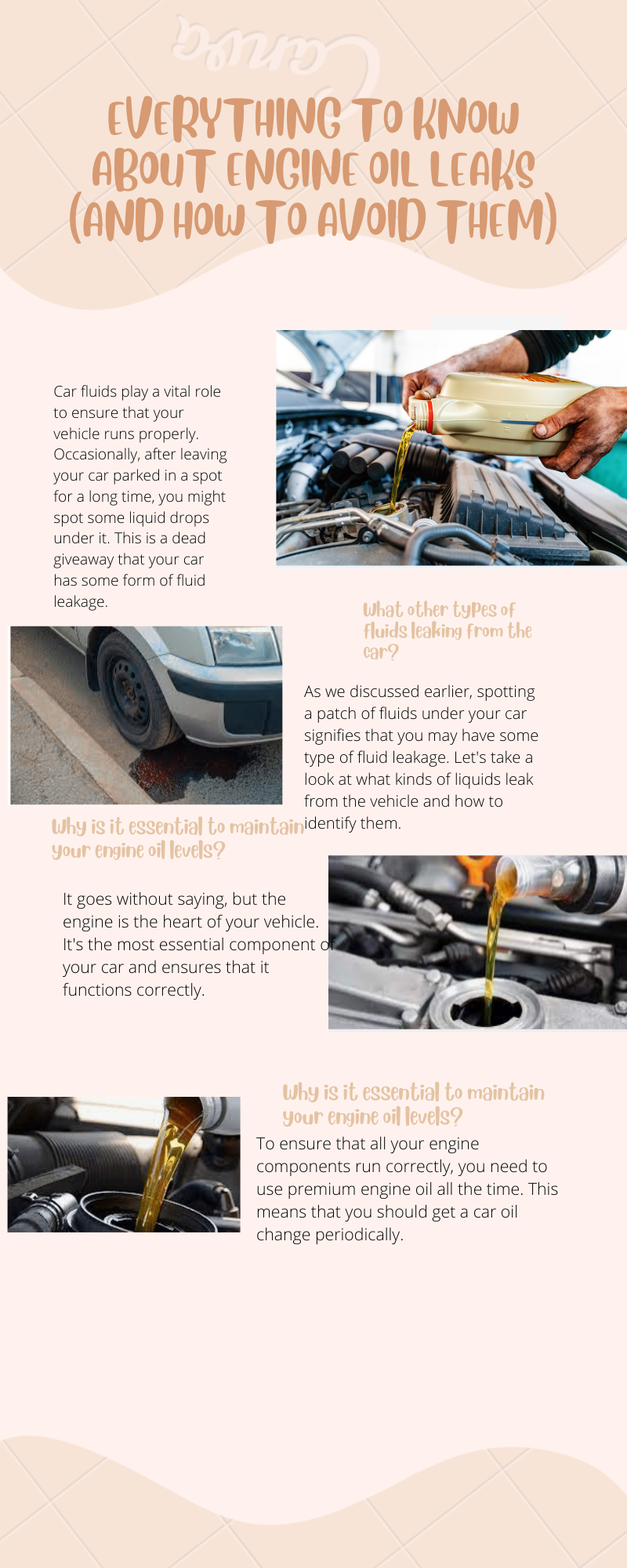 Panel · Everything to Know About Engine Oil Leaks (and How to Avoid Them)